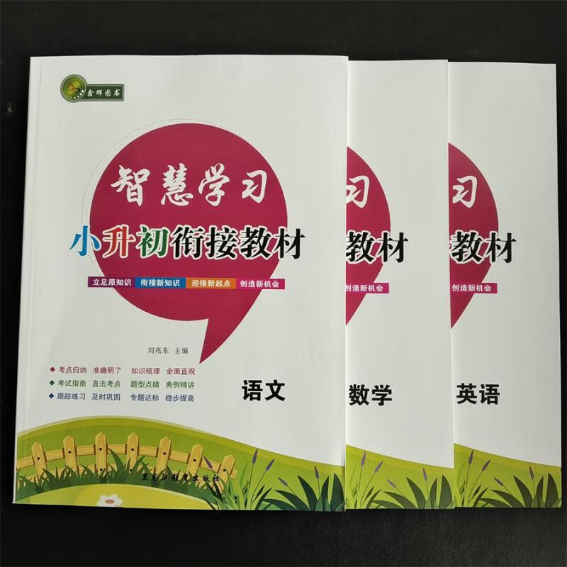 2024版鑫辉图书 智慧学习小升初衔接教材 科目自选 英语