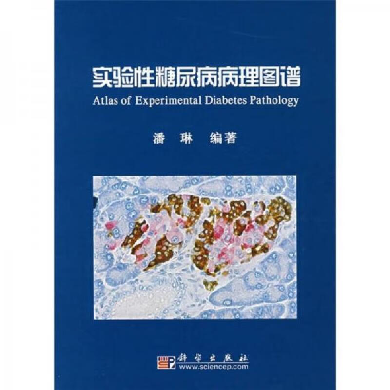 实验性糖尿病病理图谱