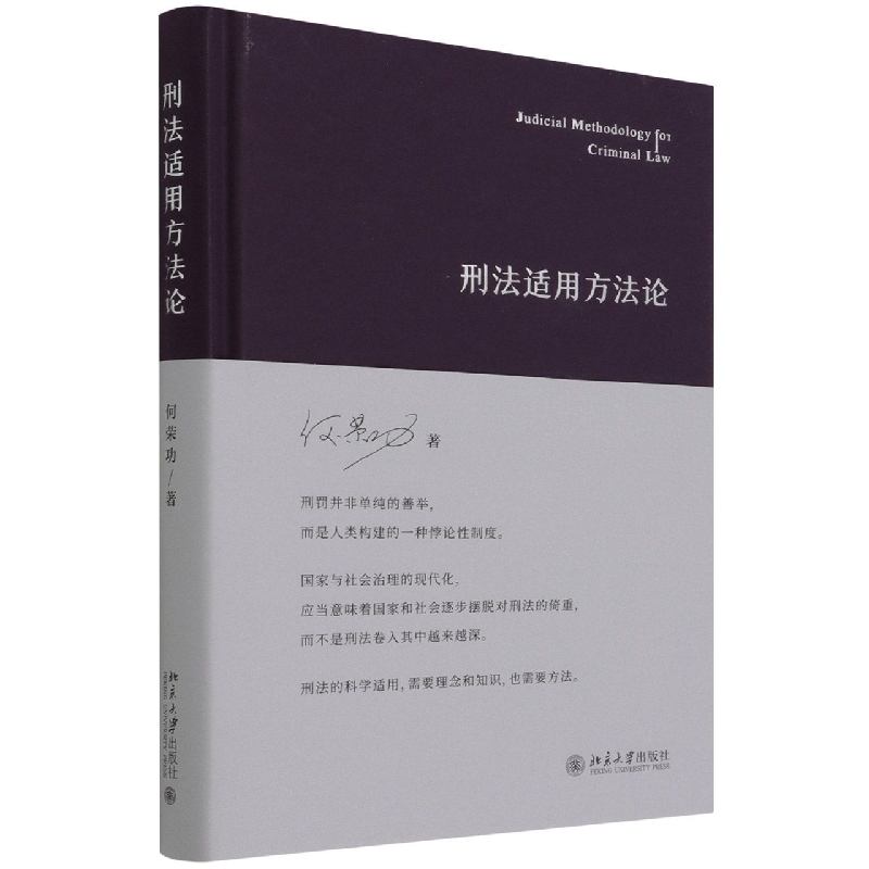 刑法适用方法论(精)