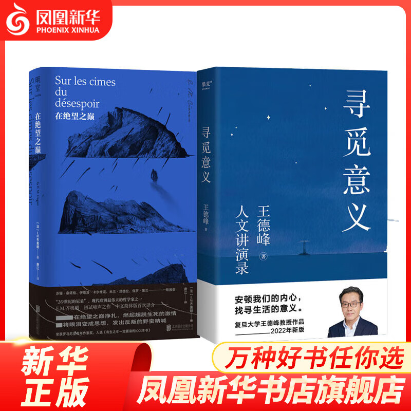 寻觅意义+在绝望之巅