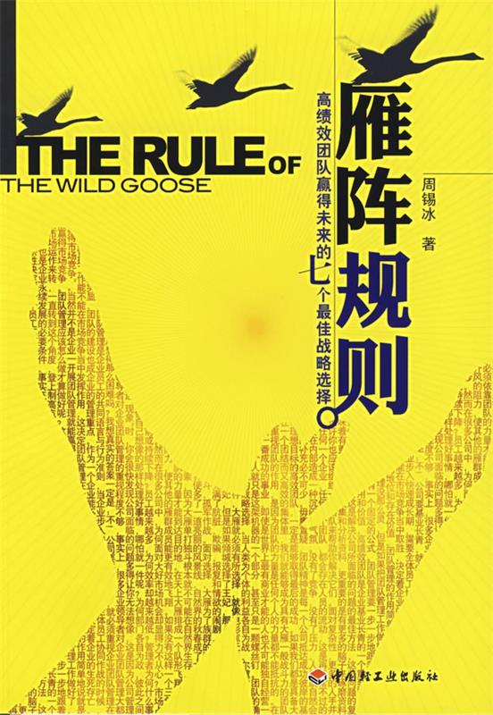 雁阵规则 周锡冰 著