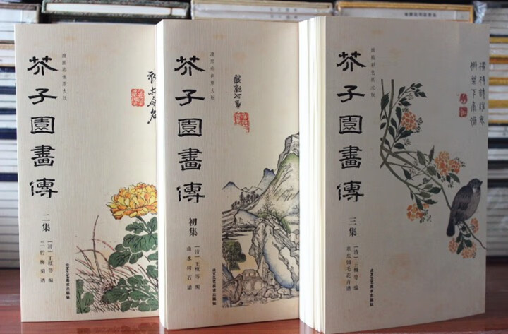康熙原大版 芥子园画传 彩版全三本 芥子园画谱康熙原版 清王概 山水树石 梅兰竹菊虫草翎毛花卉国画
