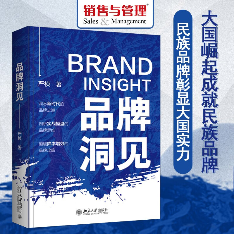 品牌洞见  9787301337899 北京大学