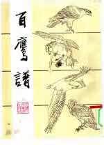 百鹰谱 夏晨 天津人民美术出版社 9787530504079