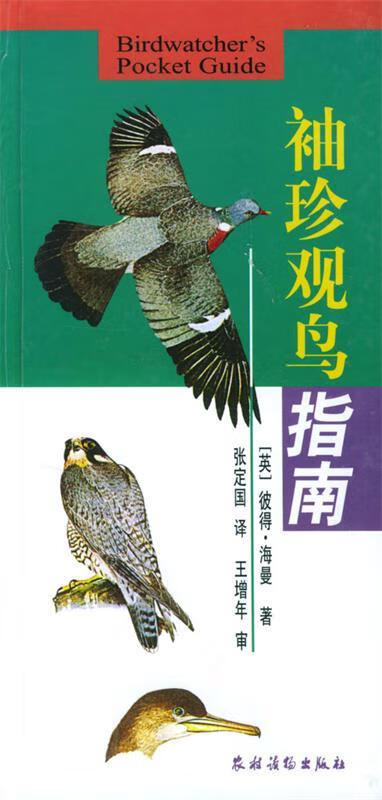 袖珍观鸟指南【好书，下单速发】