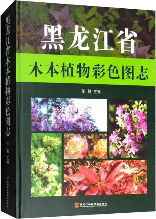 黑龙江省木本植物彩色图志 任毅编 黑龙江科学技术出版社