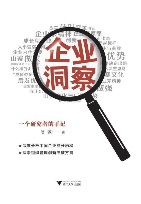 企业洞察:一个研究者的手记 潘诚【书】