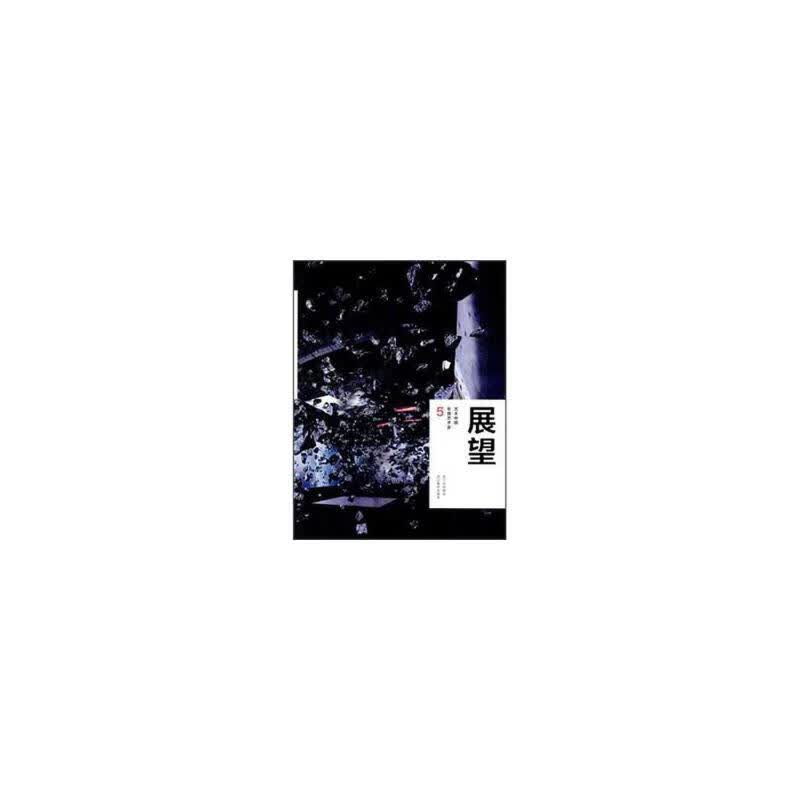 【现货】艺术中国年度艺术家5 展望