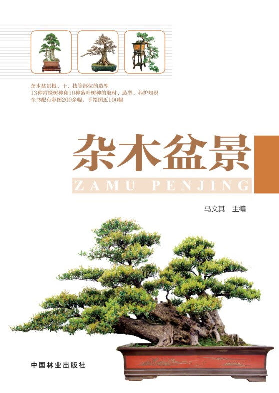 杂木盆景 马文其著