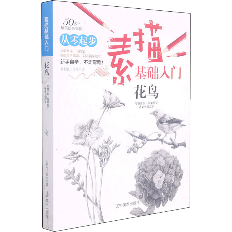 素描基础入门 花鸟