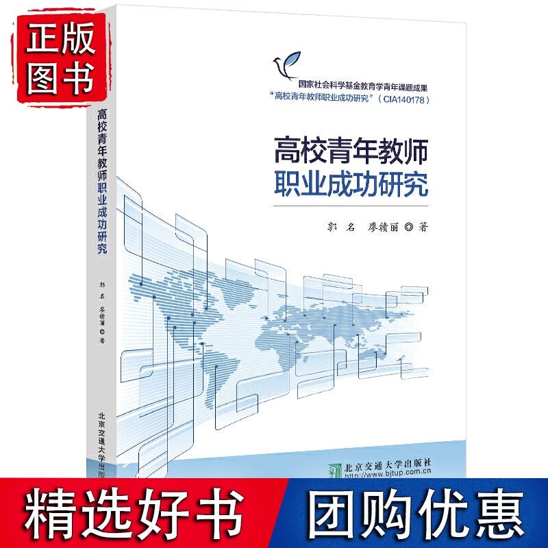 高校青年教师职业成功研究