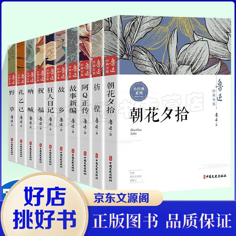 鲁迅全集10册原著经典无删减朝花夕拾鲁迅杂文集小说集散文集呐喊彷徨野草鲁迅的书全套故乡故事新编