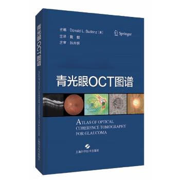 青光眼OCT图谱 9787547857649 [美]唐纳德·布登茨 编,戴毅 译