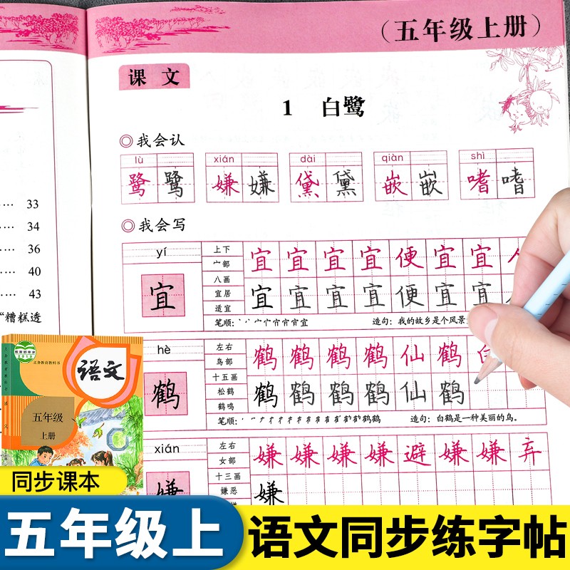 2023秋版五年级上册语文同步字帖每日一练部编人教版小学生写字练习课课练书法本语文描红一课一练楷书练字本同步课本临摹练字帖写字课课练 【语文同步练字帖】 五年级上册