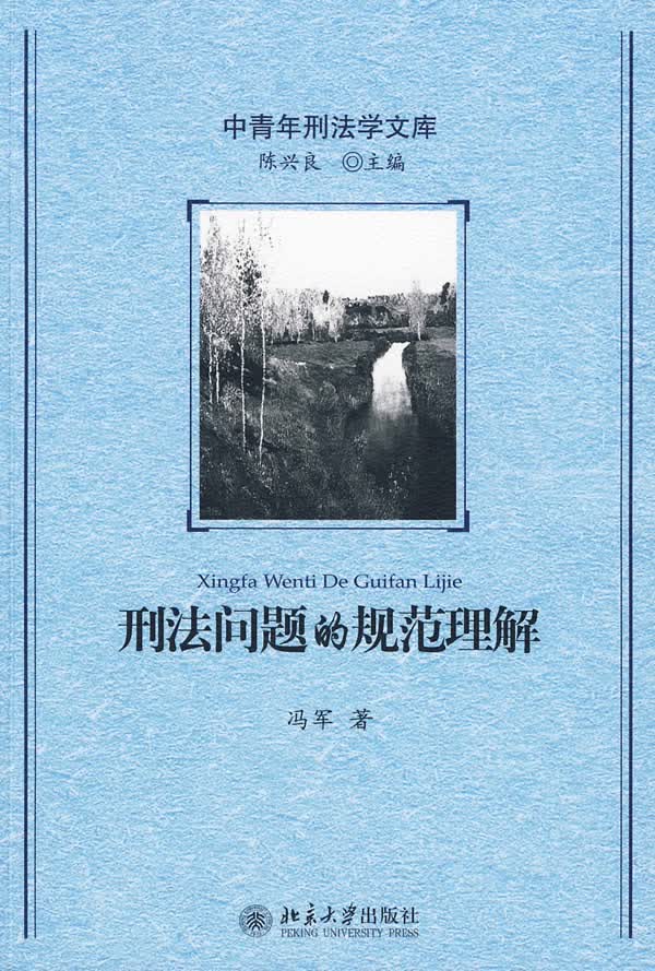 刑法问题的规范理解 冯军 著