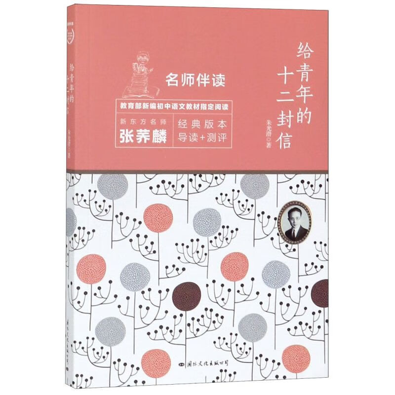 给青年的十二封信(*新编初中语文教材*阅读)/名师