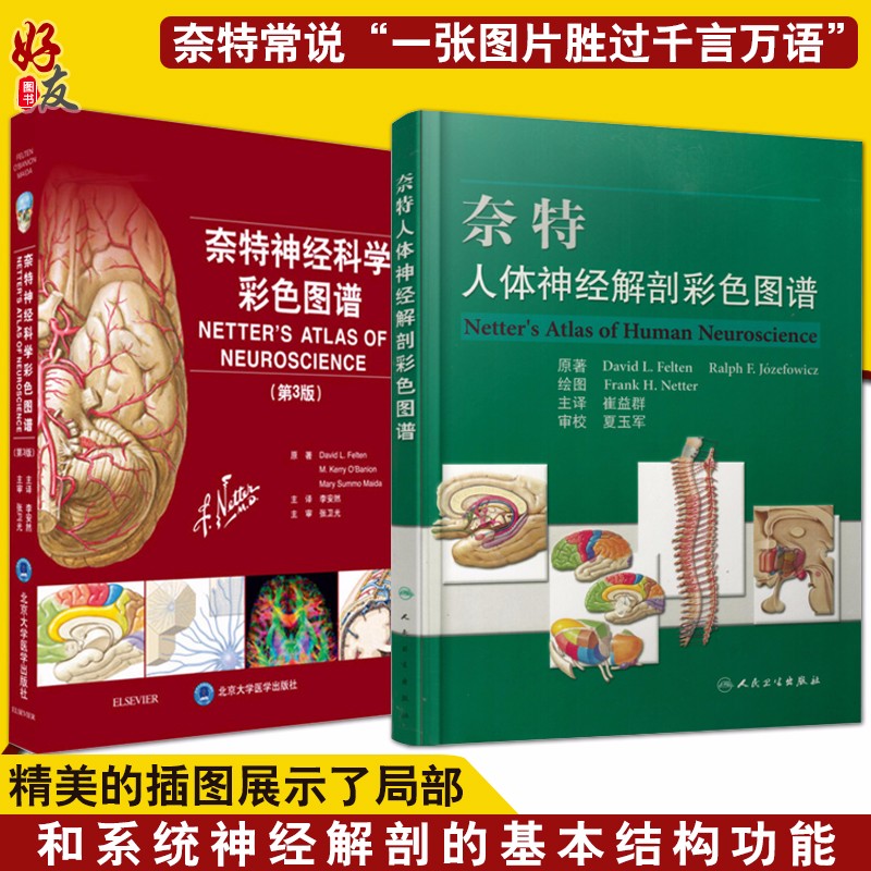 共2册 奈特人体神经解剖彩色图谱+奈特神经科学彩色图谱第三3版