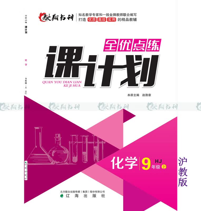 全优点练课计划九年级化学上册（沪教版） 沪教版
