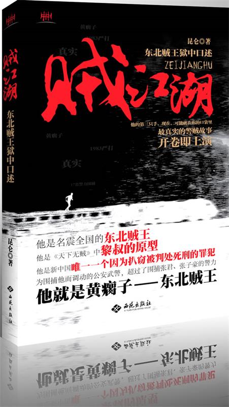 贼江湖【好书，下单速发】