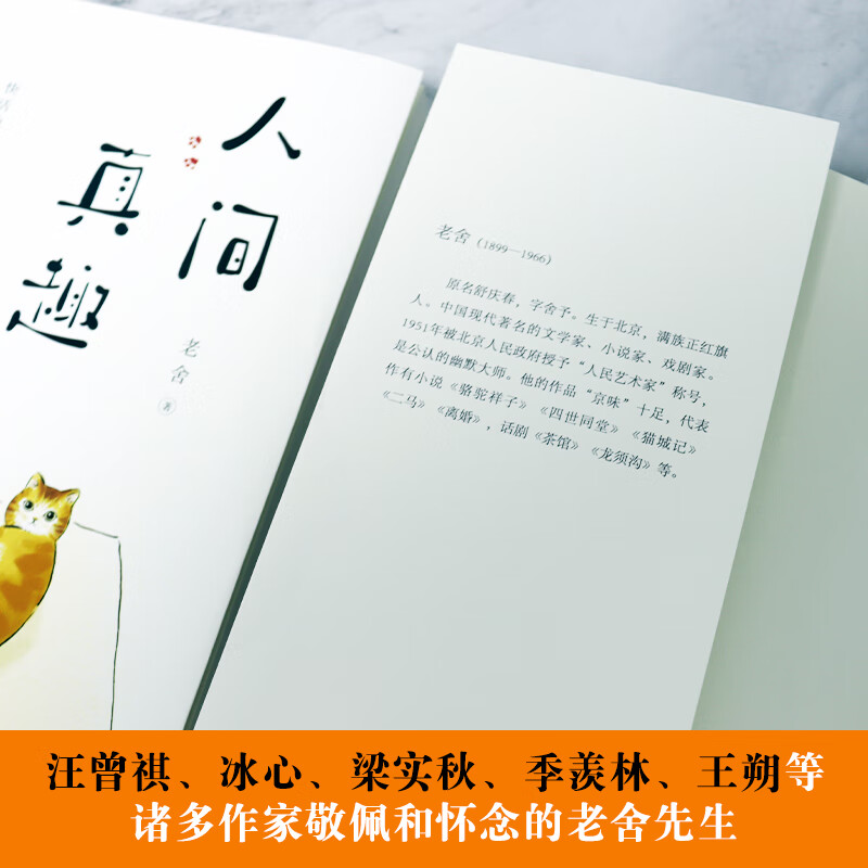 人间真趣 老舍作品 精选老舍先生66篇文章 幽默大师老舍自嘲式吐槽大会 中国现当代散文集随笔文学书籍 老舍