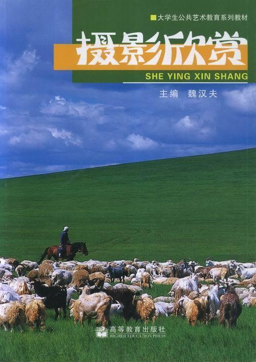 摄影欣赏 魏汉夫 主编【书】