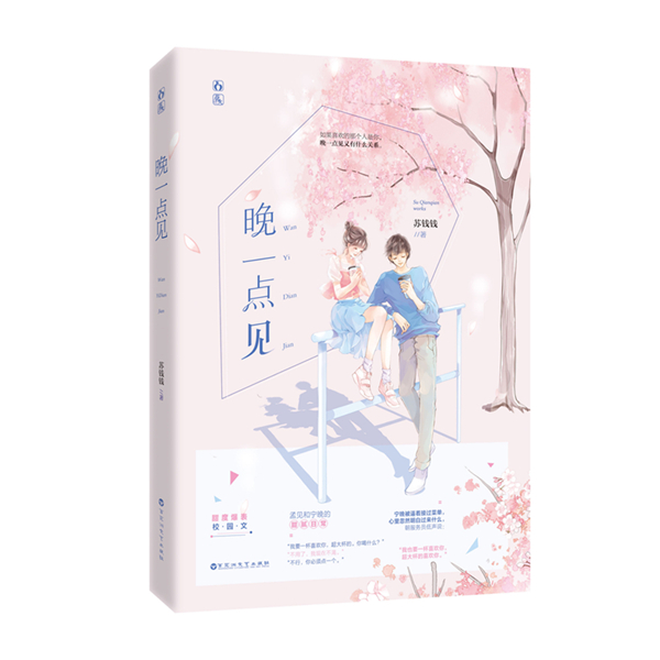 晚一点见 小说 书籍