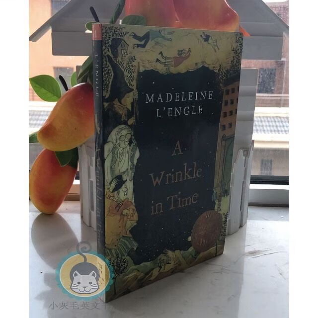 时间的皱折 褶皱 皱纹 英文原版 A Wrinkle in Time
