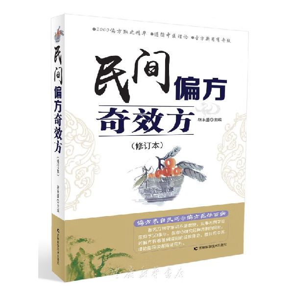 民间偏方奇效方（修订版）胡永盛主编 中医健康养生保健疗法 民间疑难杂症治百病验方 家庭实用随身查实用养生食疗图书籍