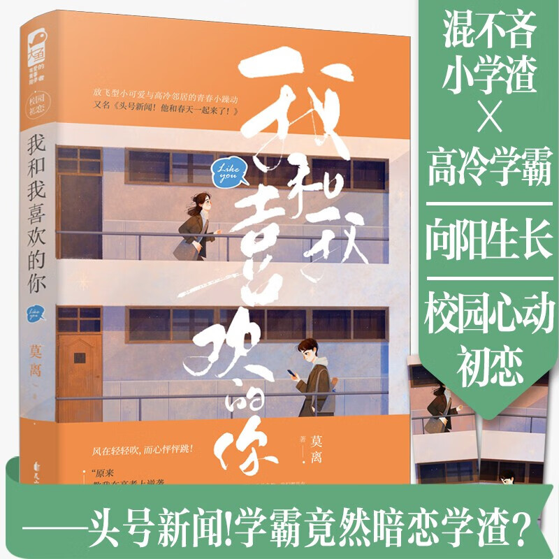 我和我喜欢的你