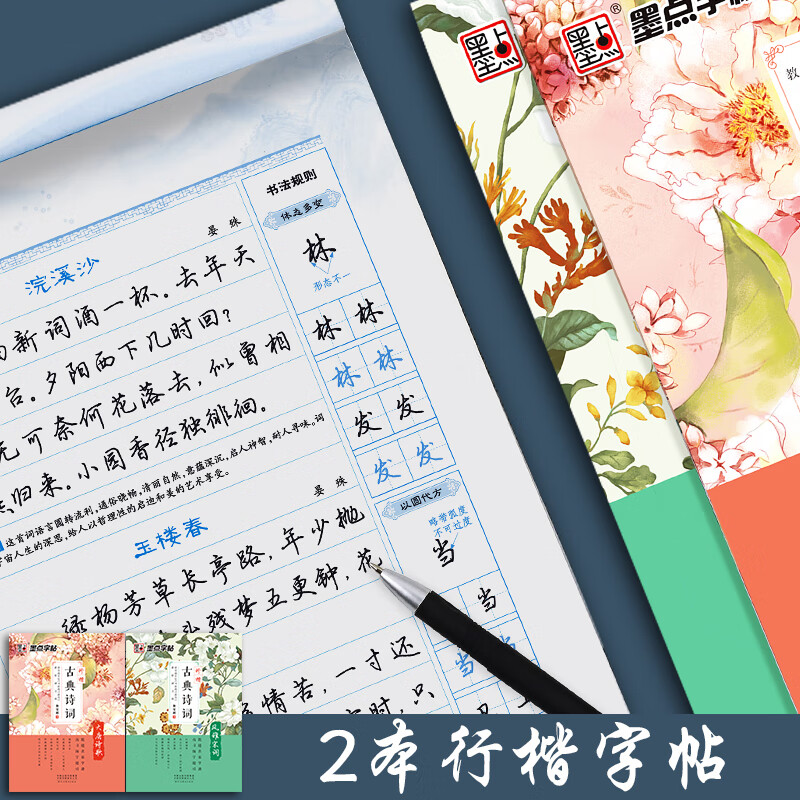 墨点字帖 古典诗词大唐诗歌风雅宋词荆霄鹏名师手写体 成人大学生