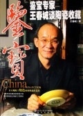 鉴宝专家谈收藏:王春城谈陶瓷收藏 王春城