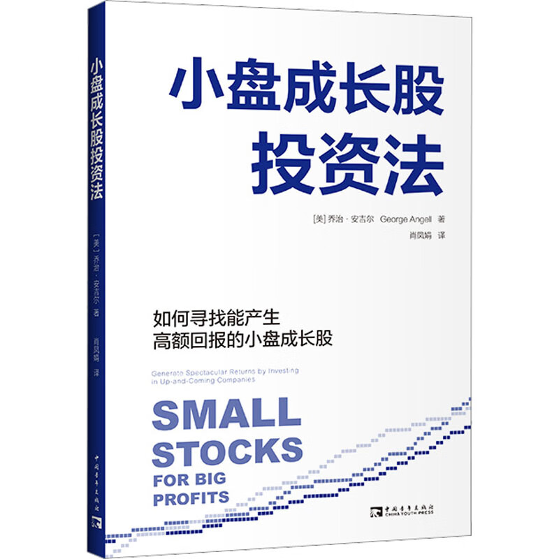 小盘成长股投资法 图书