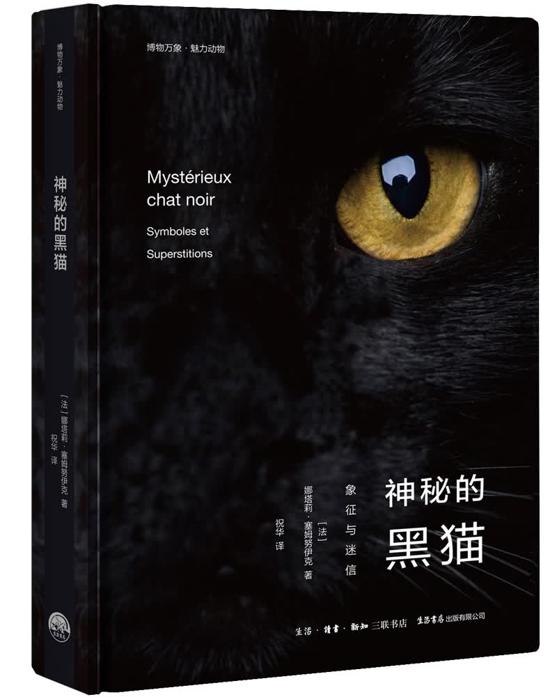 神秘的黑猫 书籍