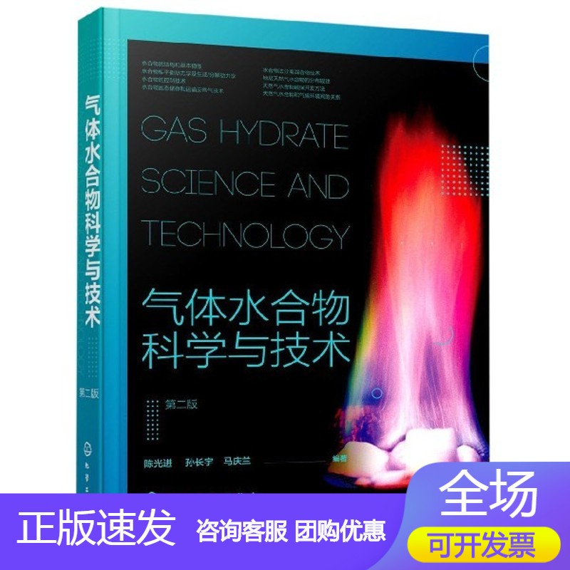 n气体水合物科学与技术(第2版)