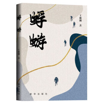 书籍 蜉蝣 王豫湘著 新华出版社
