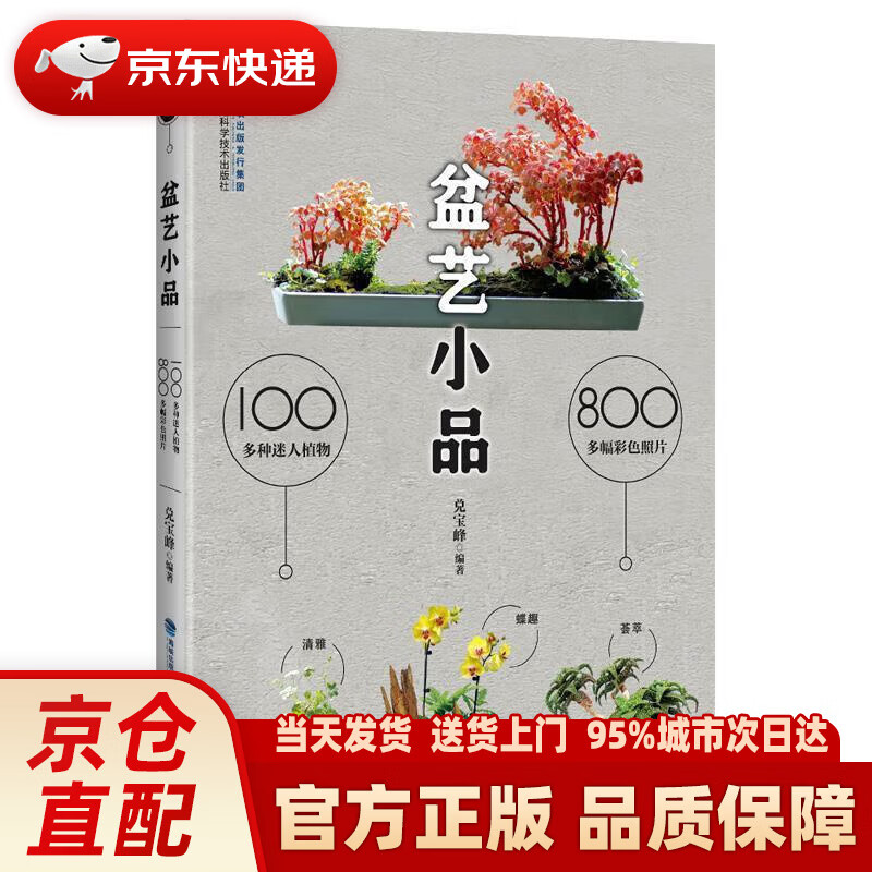 【新华】盆艺小品