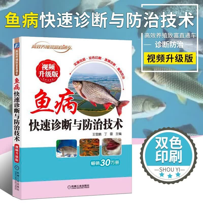 池塘养鱼三本套 高效养淡水鱼+高效池塘养鱼+鱼病快速诊断与防治技术视频升级版 科学养鱼技术 养鱼疾病治疗书 科学水产养殖养鱼技术手册 鱼病快速诊断与防治技术
