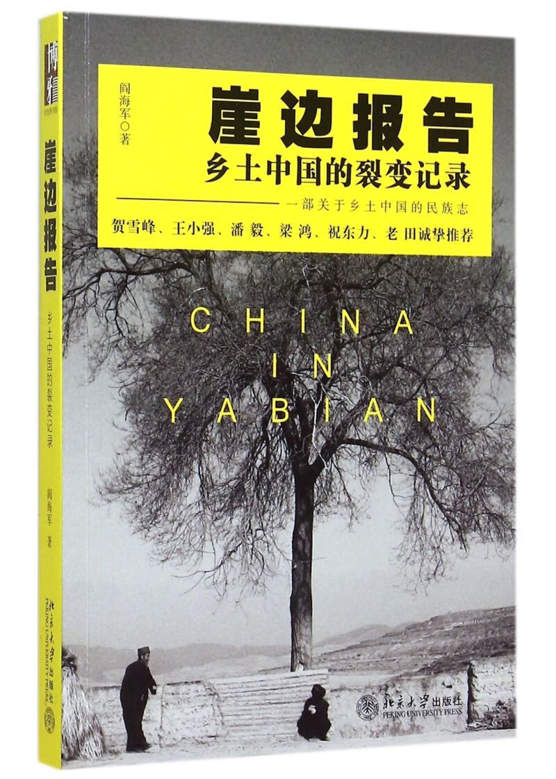 崖边报告(乡土中国的裂变记录)