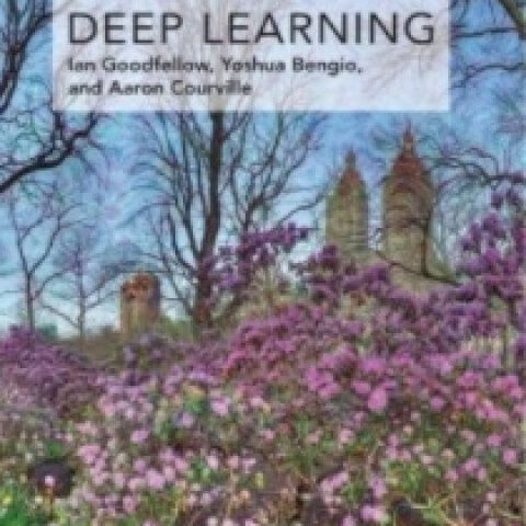 英文版纸质书Deep Learning 深度学习