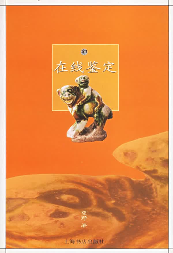 在线鉴定 望野 著