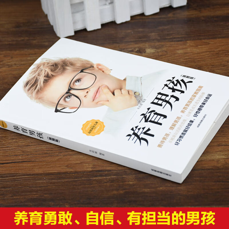 养育男孩家庭教育的书如何养育男孩正面管教培养男孩的畅销书 养育男孩（插图版）