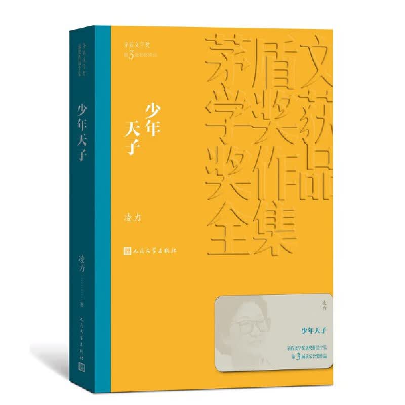 少年天子（茅盾文学奖获奖作品全集12）