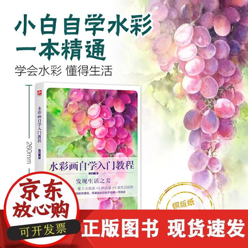 【现货】水彩画自入门教程