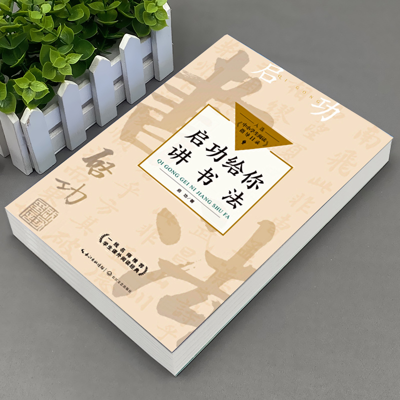 启功给你讲书法书艺术书法教学实践书籍书法作品入选中小学生阅读指导书目长江文艺