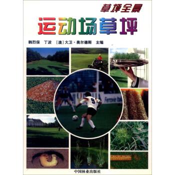 草坪全景 运动场草坪