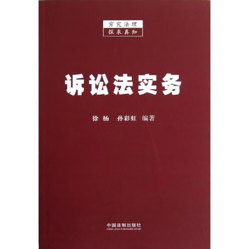 诉讼法实务 孙彩虹 编著