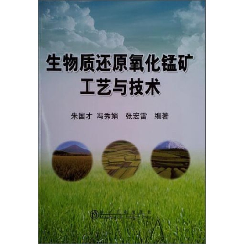 生物质还原氧化锰矿工艺与技术