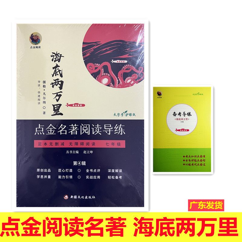 点金 点金名著导练无障碍 赠备考导练 海底两万里