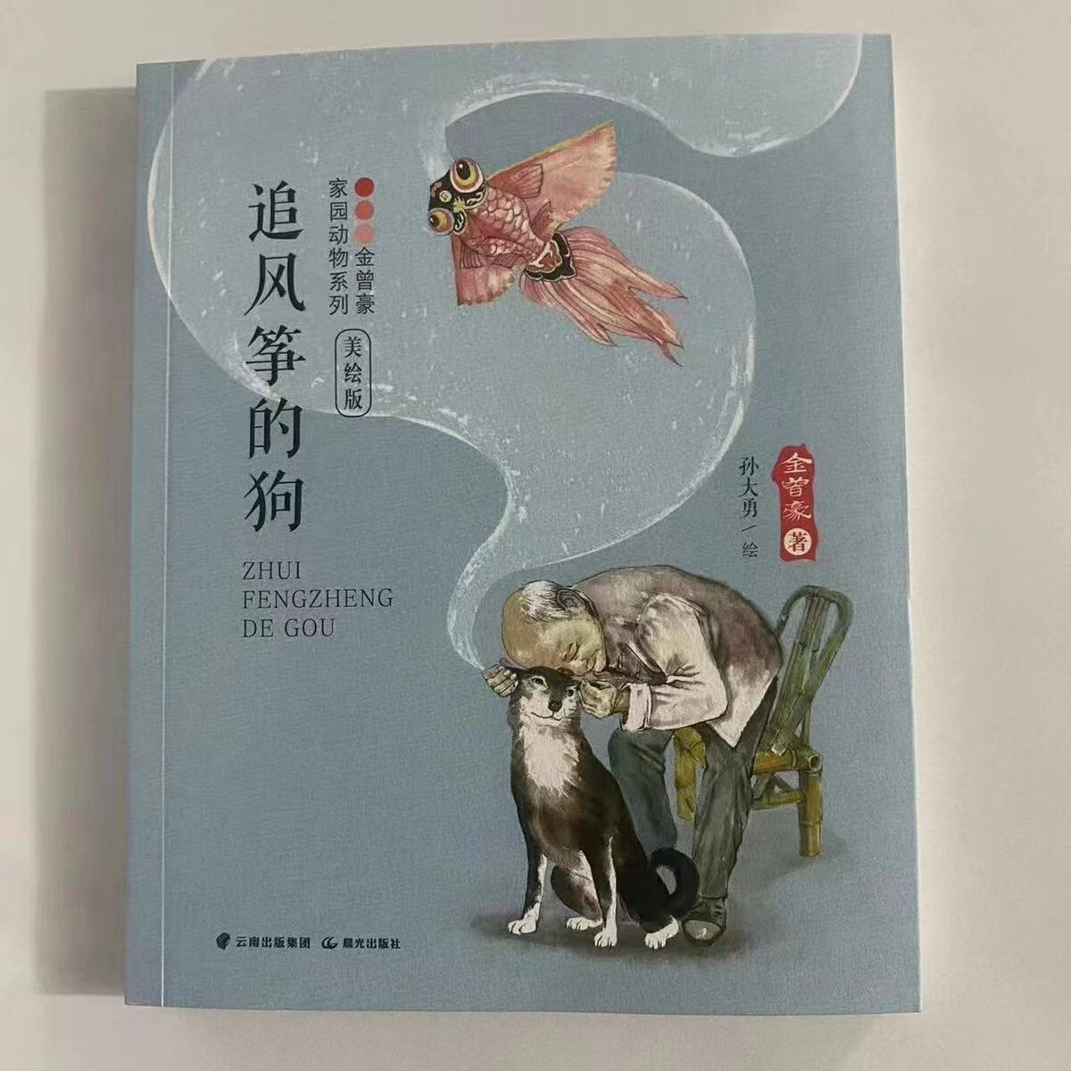 追海 2023暑假5-6年级课外书目 追风筝的狗