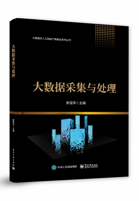 大数据采集与处理/大数据及人工智能产教融合系列丛书